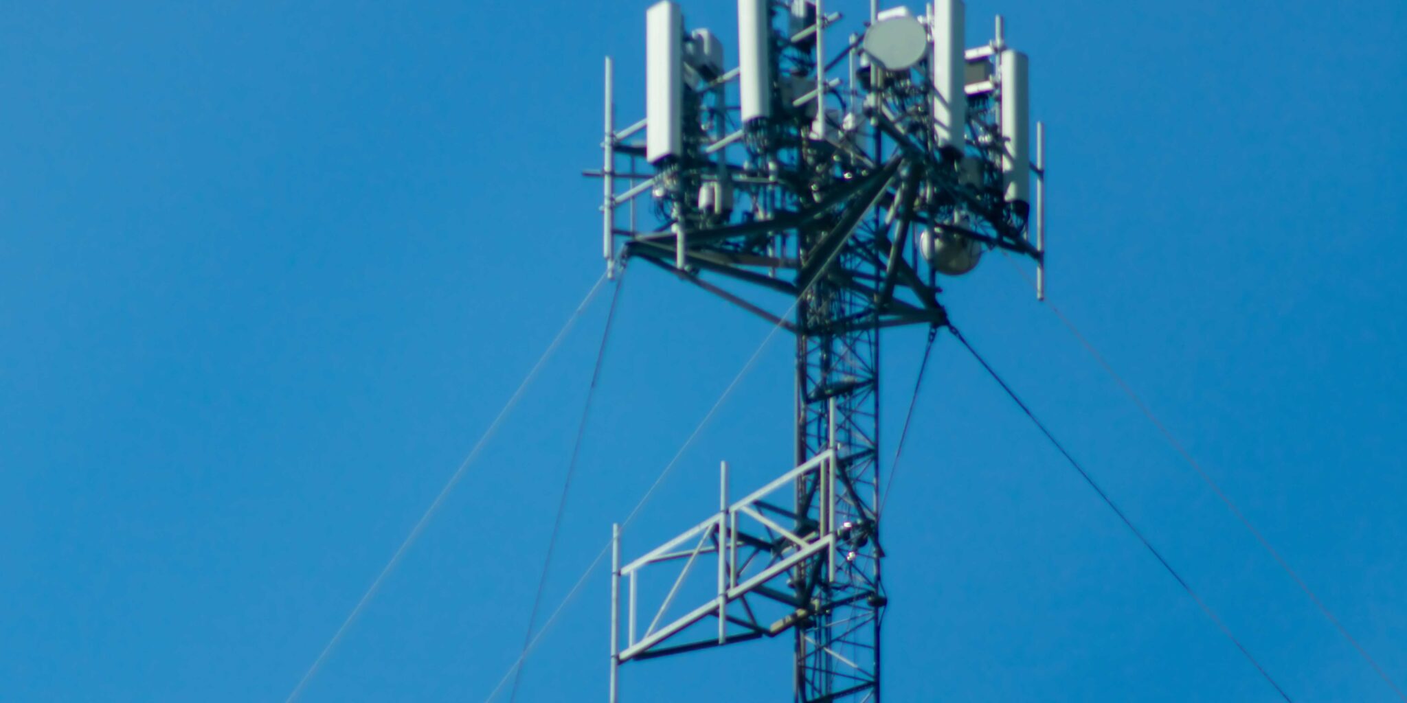 Trex Enterprise Corporation